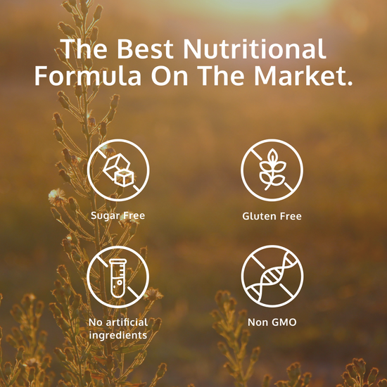 Prodovite® | Prodosomed Botanical-Multivitamin Complex | VNI