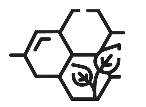 Prodovite® | Prodosomed Botanical-Multivitamin Complex | VNI